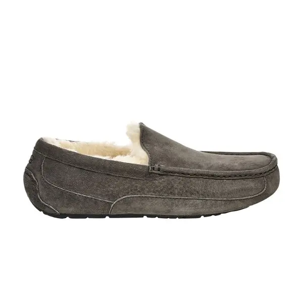UGG Ascot Slipper - Grey