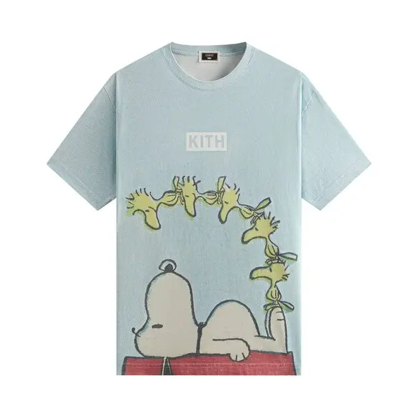 Kith For Peanuts Woodstock Doghouse Comic Vintage Tee - Blue