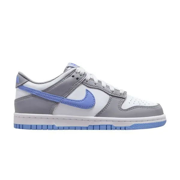 Nike Dunk Low Gs Sneakers