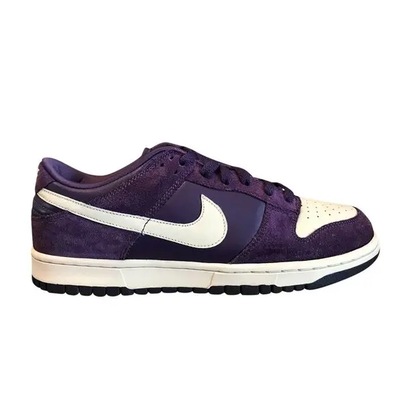 Nike Dunk Low Sneakers