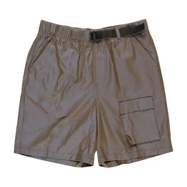 StÜssy Iridescent Short