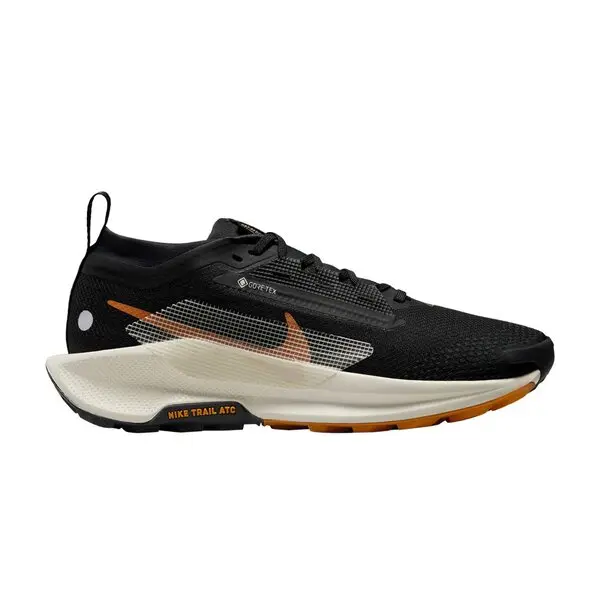 Nike Pegasus Trail Gore-tex Sneakers - Black