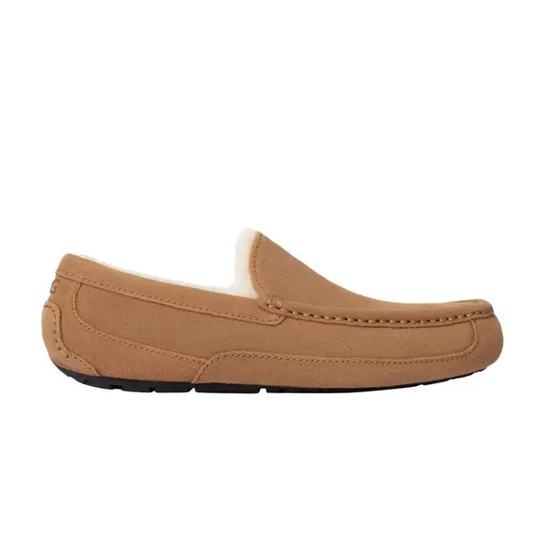 UGG Ascot Slipper - Brown