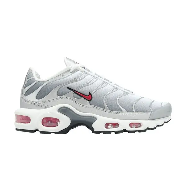 Nike Air Max Plus - Silver