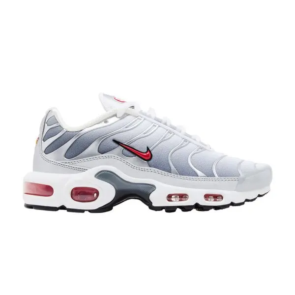 Nike Air Max Plus - Silver