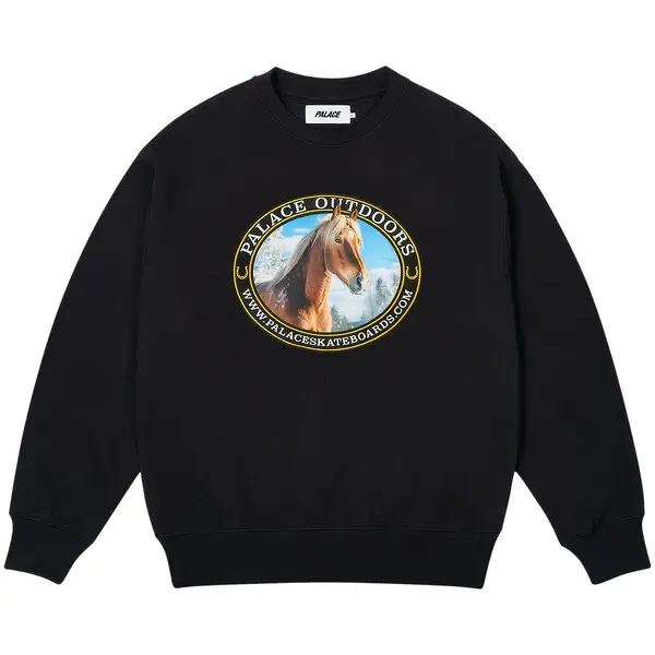 PALACE Outdoors Crewneck - Black