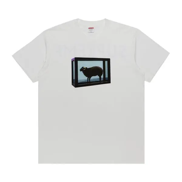 Supreme X Damien Hirst Tee - White