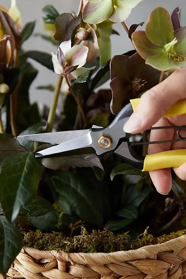 NIWAKI Lightweight Hybrid Snips