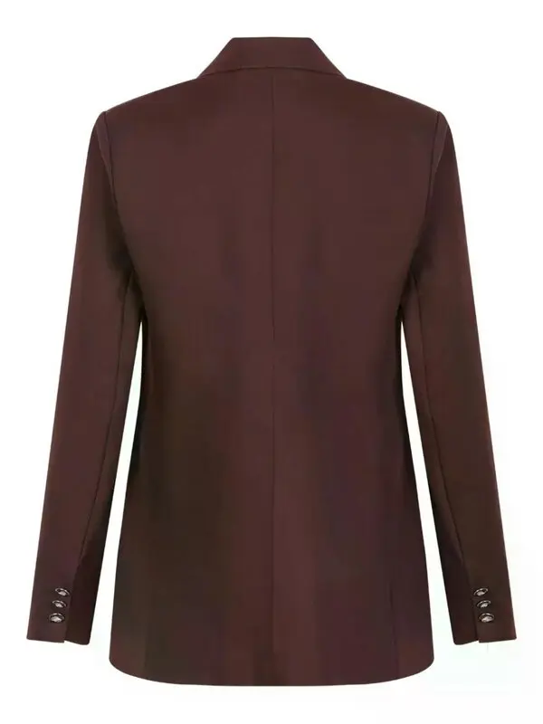 Elisabetta Franchi Double-breasted Blazer