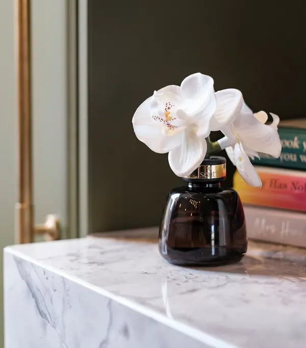 SENTI The Little Orchid Fig Diffuser