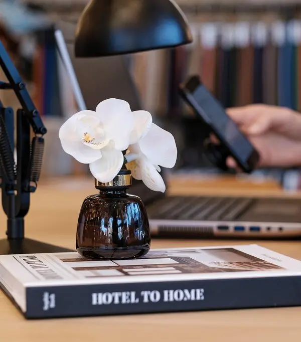 SENTI The Little Orchid Fig Diffuser