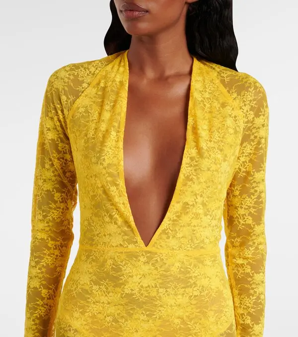 Alex Perry Sheer Lace Gown