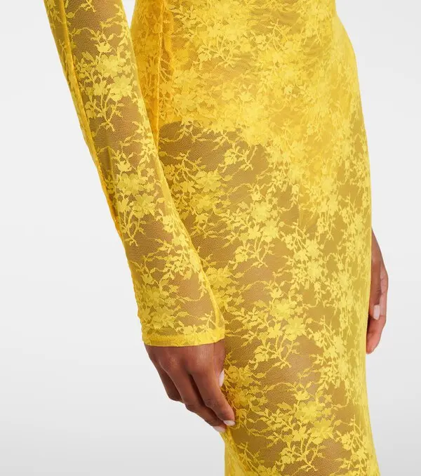Alex Perry Sheer Lace Gown