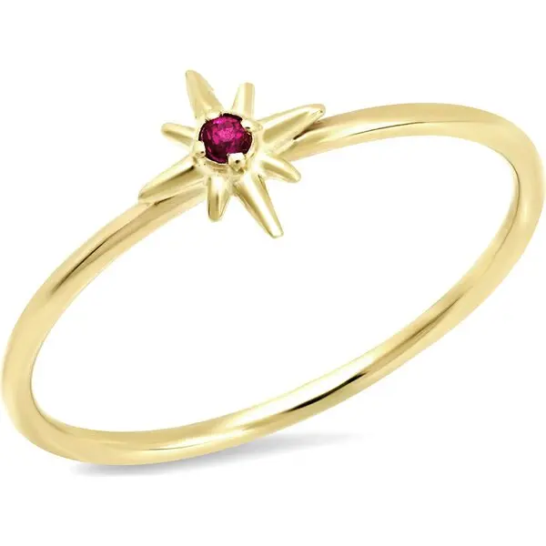 ELLIOT YOUNG 14k North Star Ring - Red