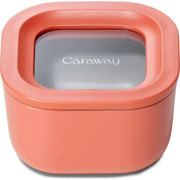 CARAWAY Mini Square Glass Food Storage Container - Perracotta