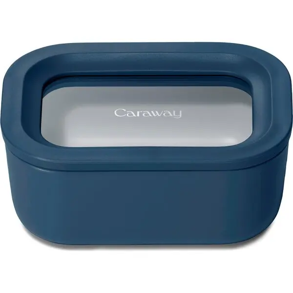 CARAWAY Mini Rectangle Glass Food Storage Container - Navy