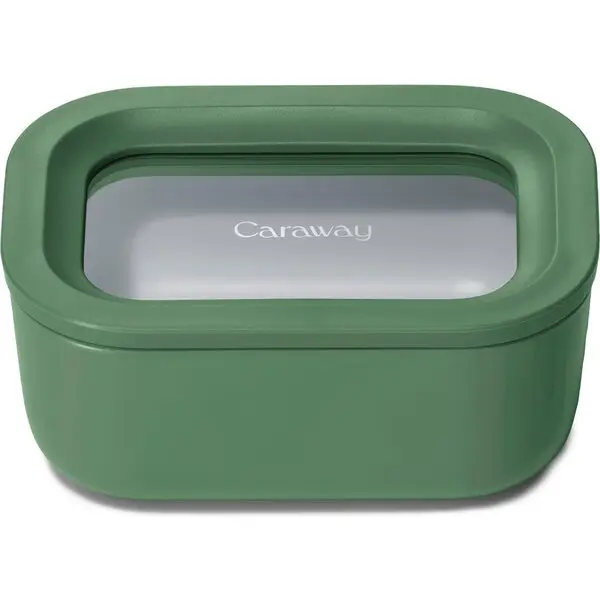 CARAWAY Mini Rectangle Glass Food Storage Container - Sage