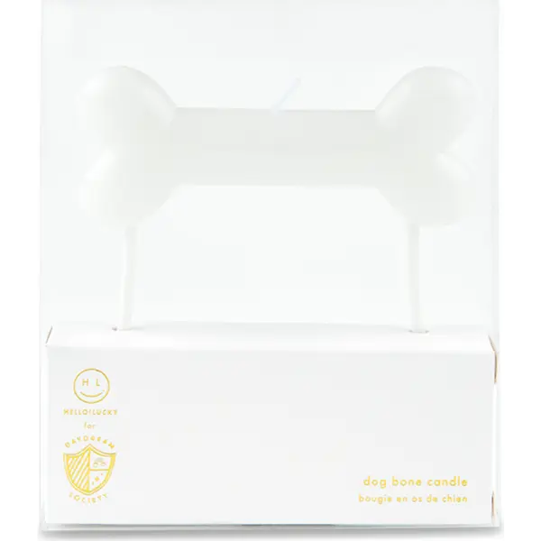 DAYDREAM SOCIETY Bow Wow Large Candle - Assorted Pre-pack