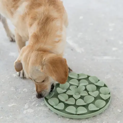 DEXYPAWS Textured Dog Feeding Pad