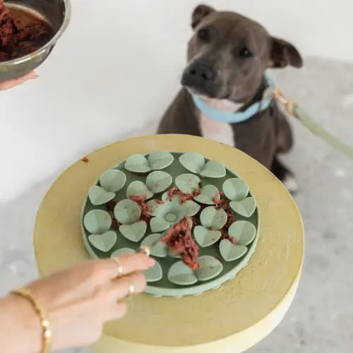 DEXYPAWS Textured Dog Feeding Pad