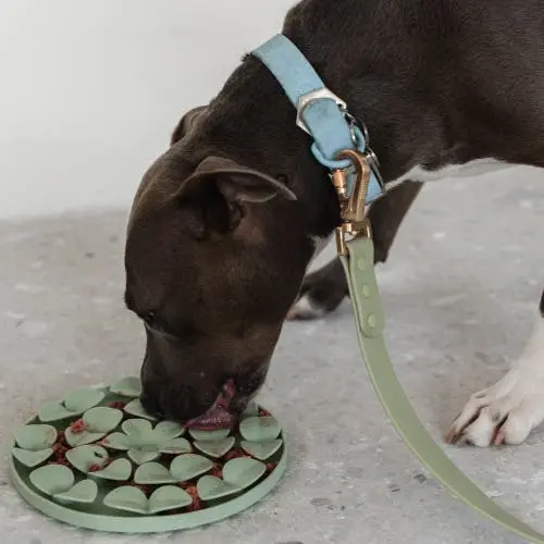 DEXYPAWS Textured Dog Feeding Pad