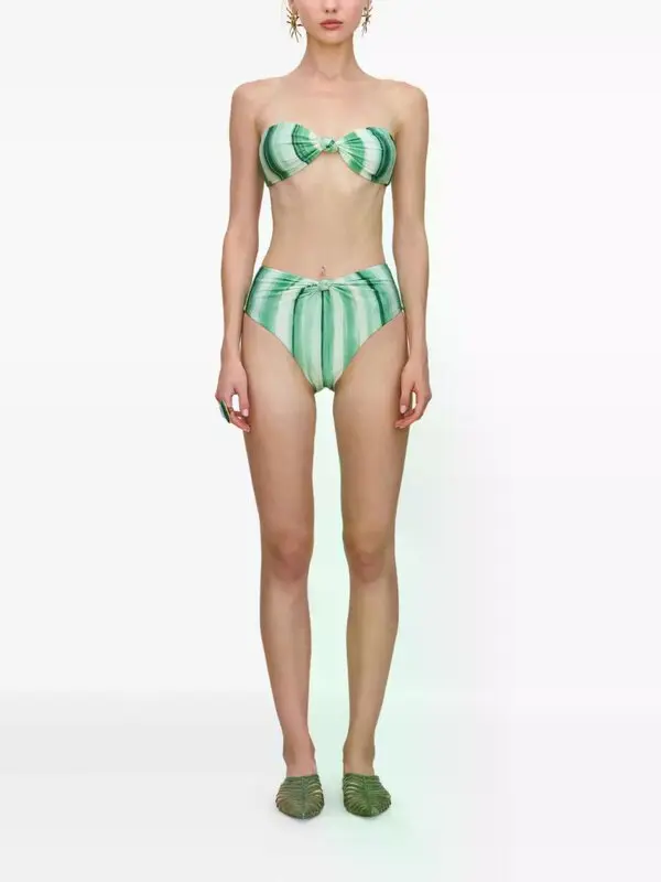 Cult Gaia Oswin Painted-stripe Bikini Bottom - Green