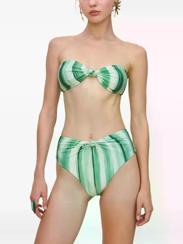 Cult Gaia Oswin Painted-stripe Bikini Bottom - Green
