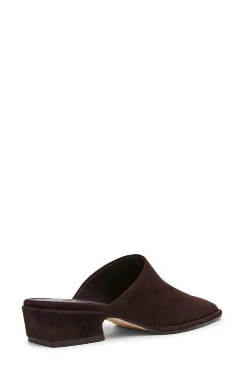 Steve Madden Dessa Mule - Brown Sued