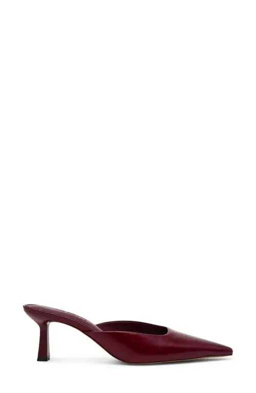 Steve Madden Lisbeth Pointed Toe Mule In Burgundy Leather 47