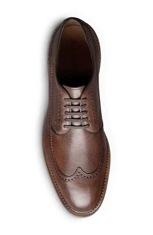 Allen Edmonds Winston Verse Wingtip Brogue Oxford - Chili