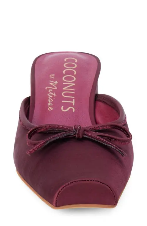 Matisse Geneva Mule - Fig