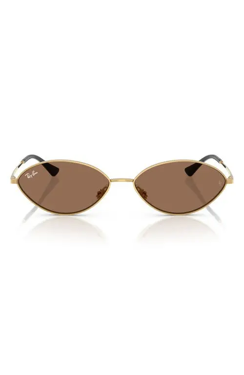 Ray-ban Kai 56mm Oval Sunglasses - Gold/dark Brown