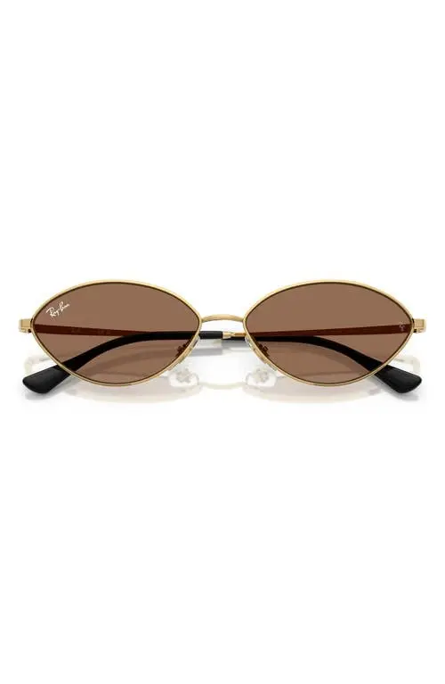 Ray-ban Kai 56mm Oval Sunglasses - Gold/dark Brown