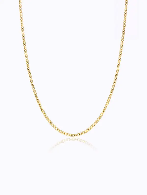 BRIONY RAYMOND 14k Gold Chain Necklace - 18k Yellow Gold