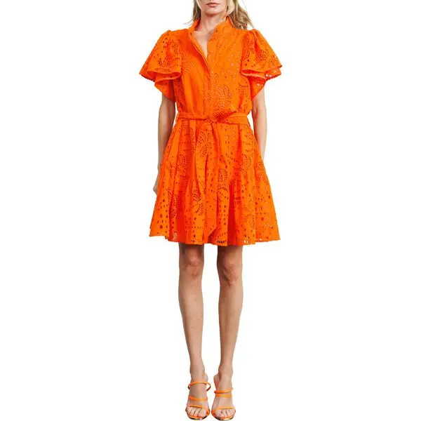 drop waist dress amazon All Saints