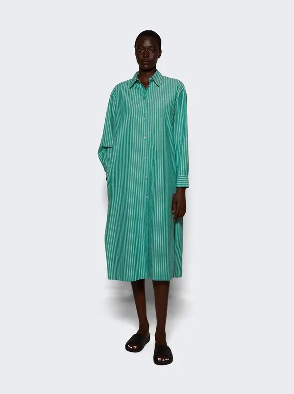 THE ROW Chihiro Dress Green And White - Multi