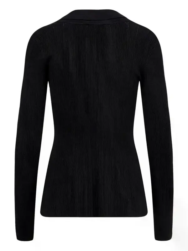 Elisabetta Franchi Ribbed Knit Polo-neck Top