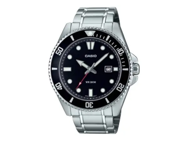 Casio Standard Watch - Stainless Steel