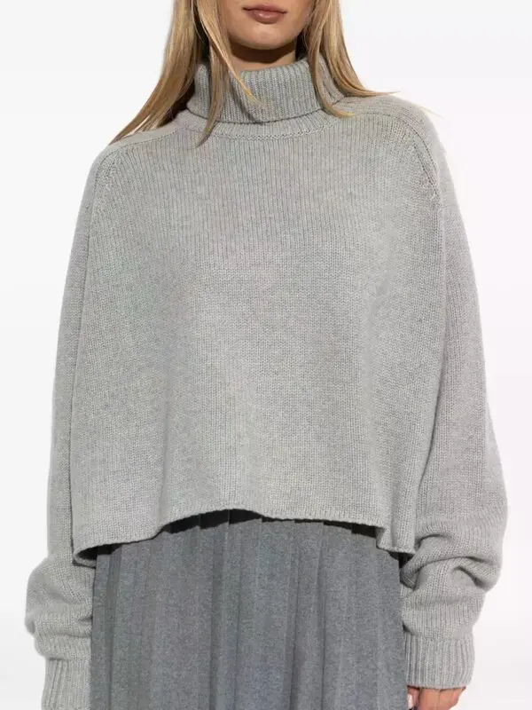 LISA YANG Turtleneck Cashmere Sweater