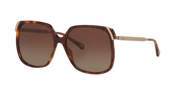 Chloé Sunglasses - Brown Gradient