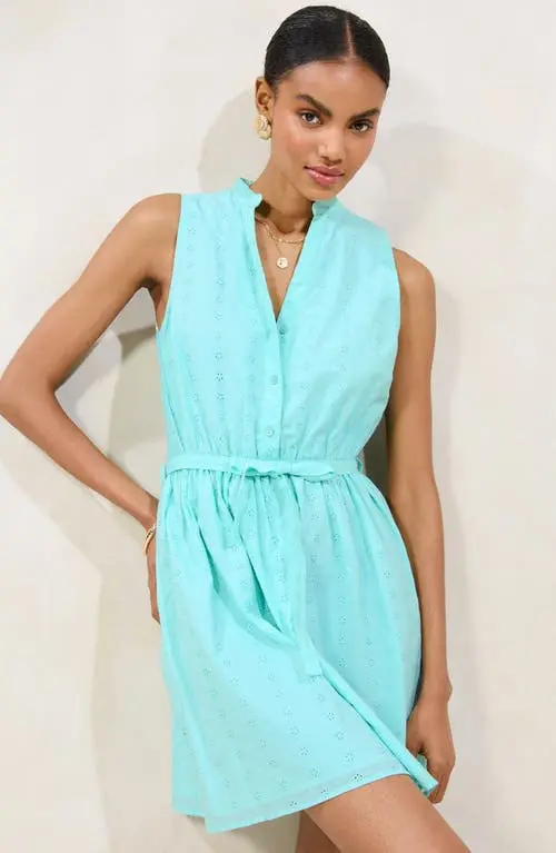 LIPSY Broderie Sleeveless Mini Dress