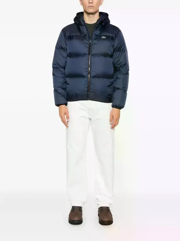 Lacoste Hooded Padded Jacket