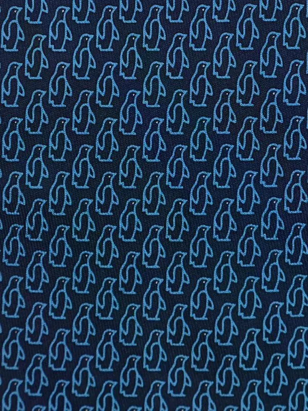 FERRAGAMO Printed Silk Neck Tie