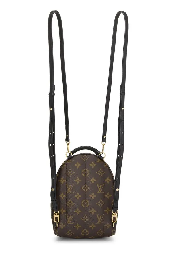 LOUIS VUITTON World Tour Palm Springs Backpack - Brown