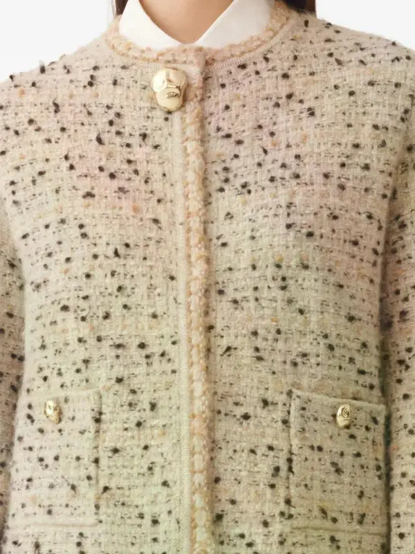 Fabiana Filippi Tweed Jacket With Gold-tone Buttons