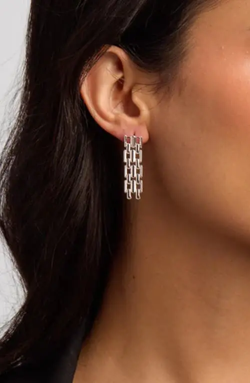Argento Vivo Panthera Link Linear Drop Earrings - Silver