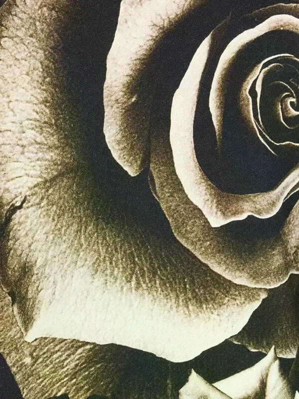 Roberto Cavalli Rose-print Slouchy Hoodie