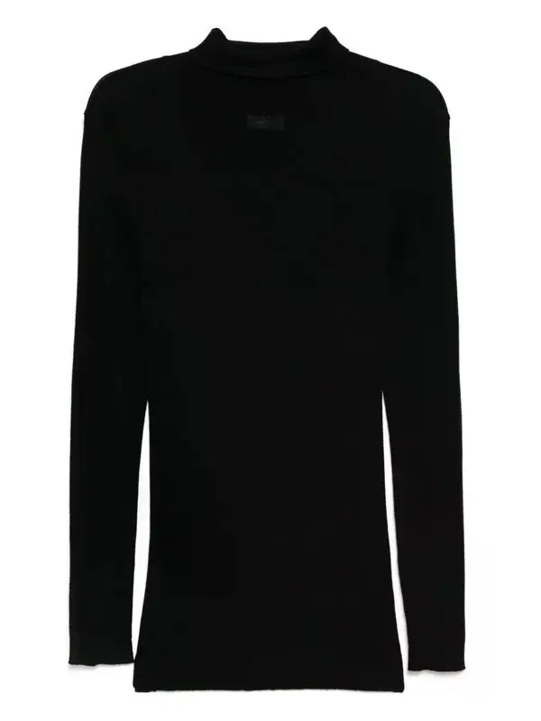 AEXAE Sheer Turtleneck Top