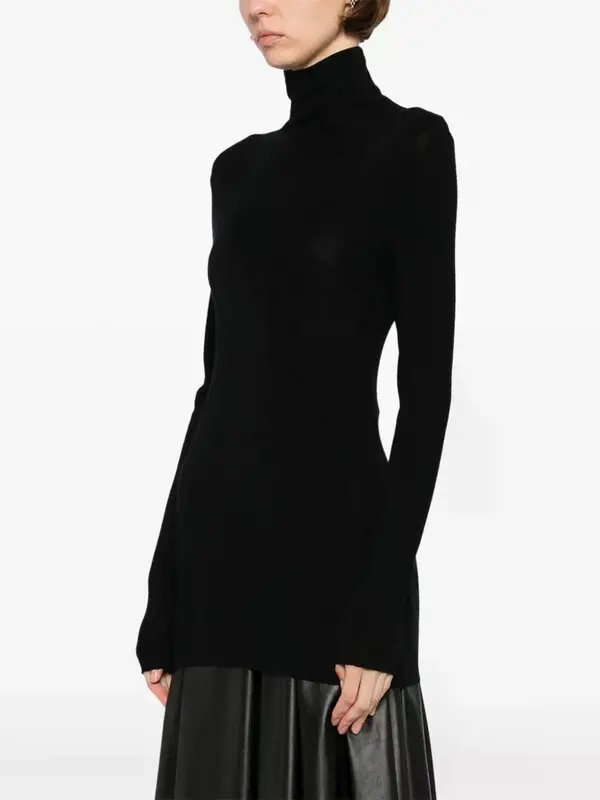 AEXAE Sheer Turtleneck Top