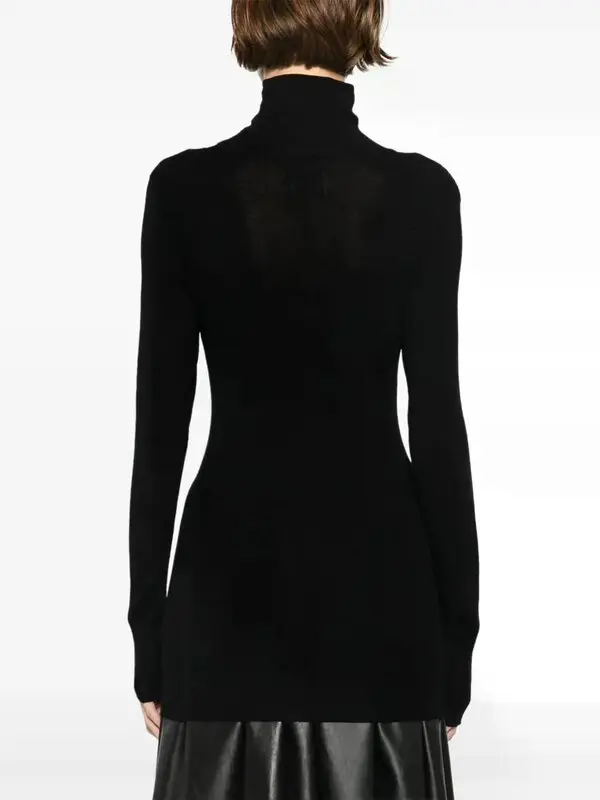 AEXAE Sheer Turtleneck Top